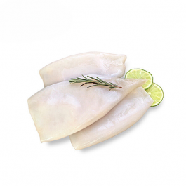 Inktvis tube - XMALL